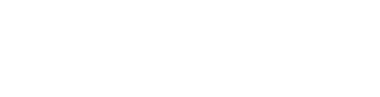 FF Solutions - Impulsionando a Transformação Digital